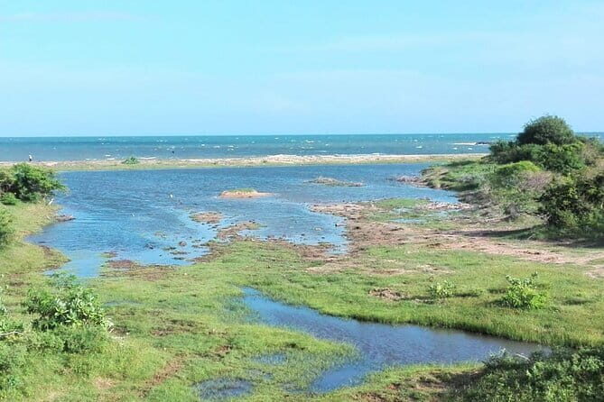 Minneriya National Park Safari | Jeep with Tickets - Exploring the Itinerary in Detail