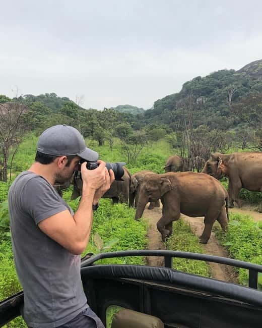 Minneriya National Park Safari  See Wild Elephants Up Close - The Sum Up: Why This Safari Stands Out
