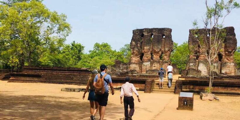 Minneriya: Wild Safari and Polonnaruwa Sightseeing Day Tour - Who Should Consider This Tour?