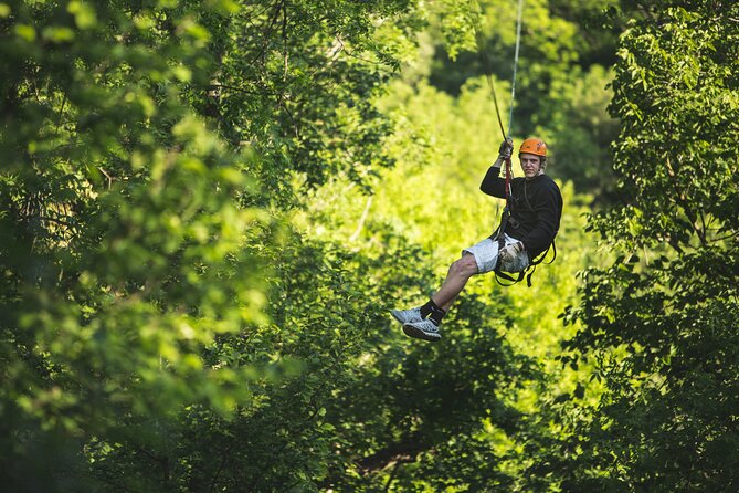 Minnesota River Valley 14-Line Thrilling Zipline Canopy Tour - Physical Requirements and Accessibility
