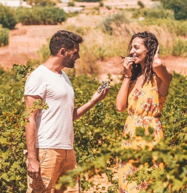 Minoan Crete: Knossos Palace & Heraklion Museum with Winery - Practical Details and What to Expect