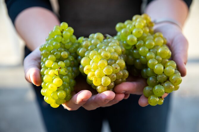 Minoan Crete: Knossos Palace, Winery Visit and Lunch at Archanes - Transportation and Accessibility