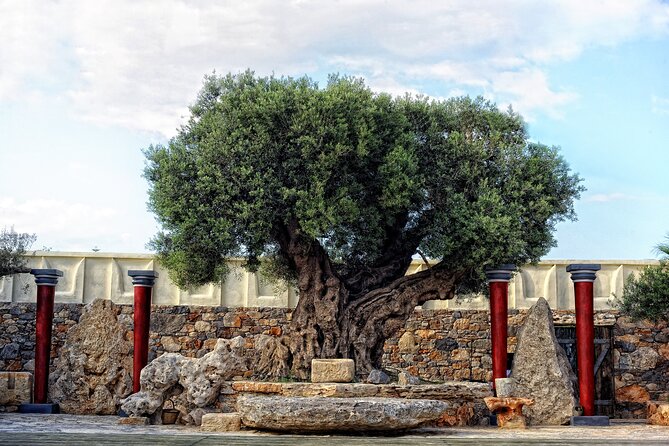 Minoan Day Experience - Who Will Love This Tour?