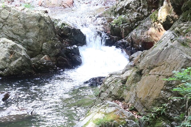 Minoh Waterfall and Nature Walk Through the Minoh Park - Guided Nature Walks Through the Park