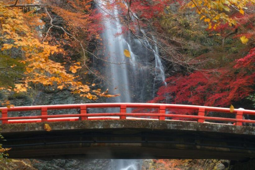 Minoo Park Private Tour: Nature, Temples, and Coffee Bliss - The Practicalities: How the Tour Works