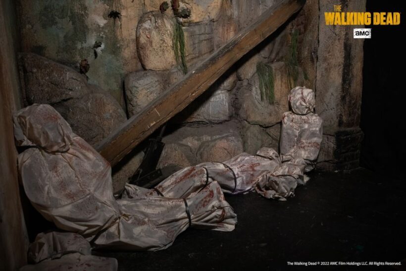 Mirabilandia Amusement Park: 2-Day Entry Ticket - Who Should Consider This Park?