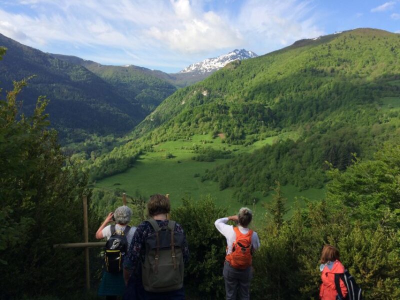 Mirepoix, castles of Montségur & Camon guided tour - Transportation, Group Size, and Practical Details