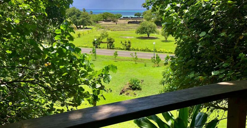 Mirimiri Tours: Visits, Surprises, Swimming and Sunset - A Personal Look at Mirimiri Tours