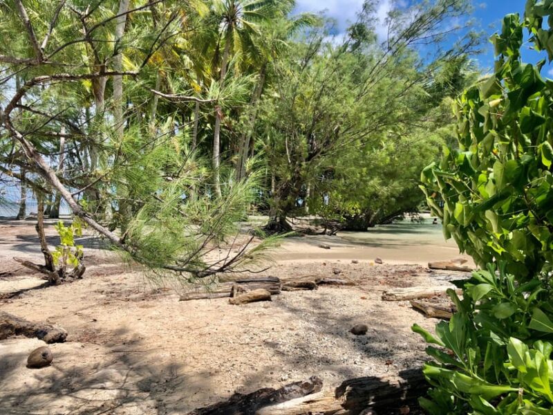 Mirimiri Tours: Visits, Surprises, Swimming and Sunset - Relaxation and Scenic Beauty