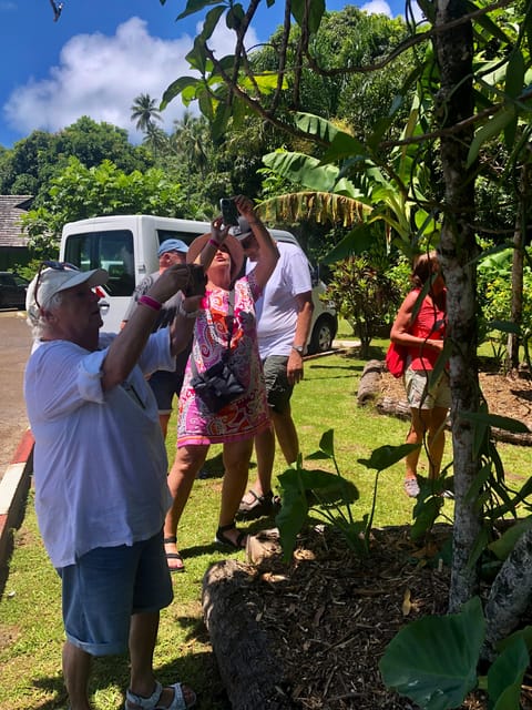 Mirimiri Tours: Visits, Surprises, Swimming and Sunset - Transport and Group Size