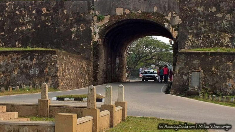 Mirissa Blue Whale - Watching Tour: A Majestic Adventure Day - FAQ