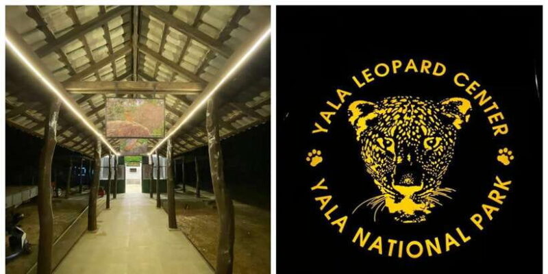 Mirissa/Galle: Transfer to Ella & YALA & UDAWALAWA Safaris - In-Depth Breakdown of the Itinerary