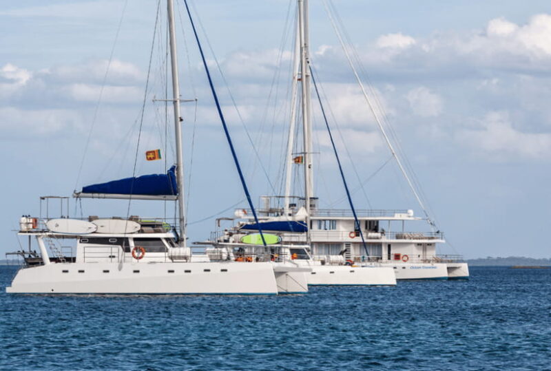 Mirissa: Luxury Sailing Boat Dolphin and Whale Watching - Key Points