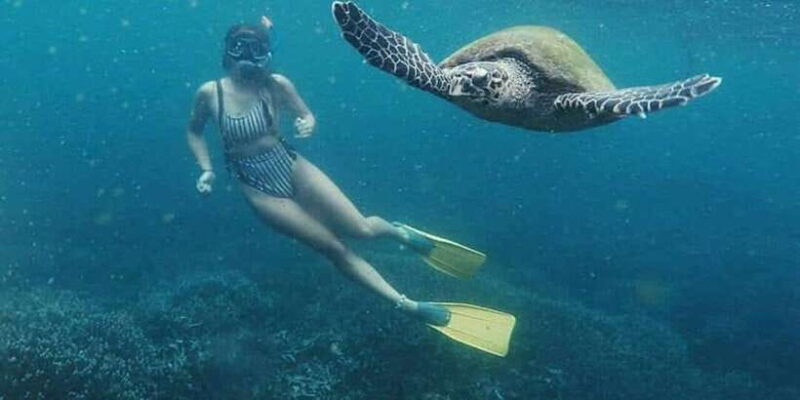Mirissa: Snorkeling Experience with Turtles - FAQ