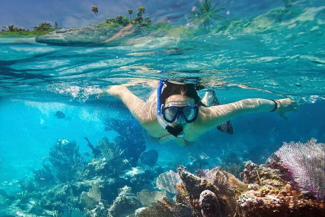 Mirissa Unforgettable Snorkeling Experience with Turtles - Final Thoughts: Is It Worth It?