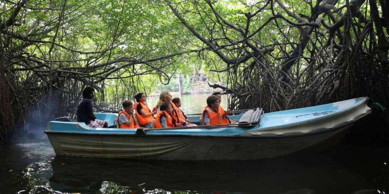 Mirissa/Weligama/Galle: Galle & Bentota Coastal Day Tour - Who Will Enjoy This Tour?