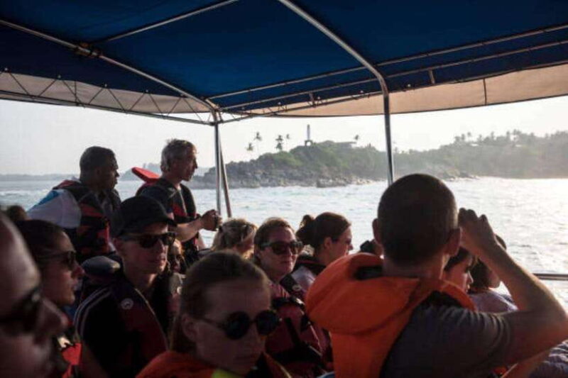 Mirissa: Whale Watching Cruise - The Itinerary and the Experience