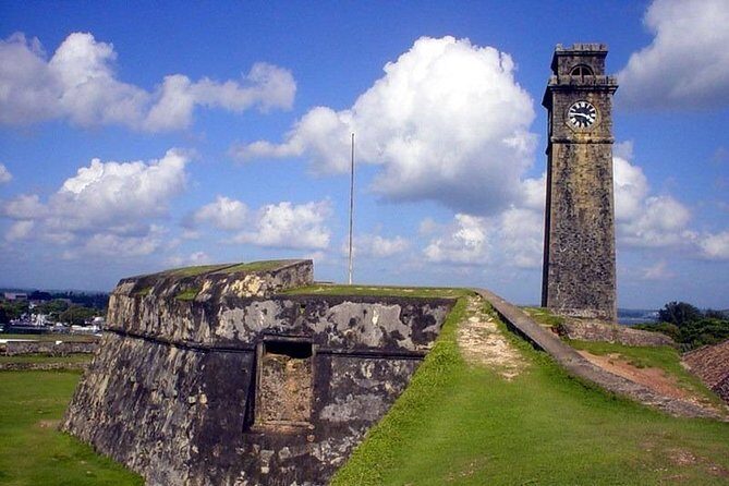 Mirissa Whale watching, Stilt Fishing & Turtle Tour From Colombo - Final Thoughts