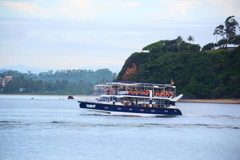 Mirissa: Whale Watching Tour - Mirissa: Whale Watching Tour – An Authentic Marine Adventure