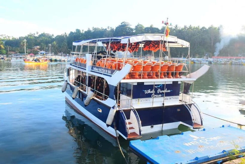 Mirissa: Whale Watching Tour - Cultural and Geological Additions