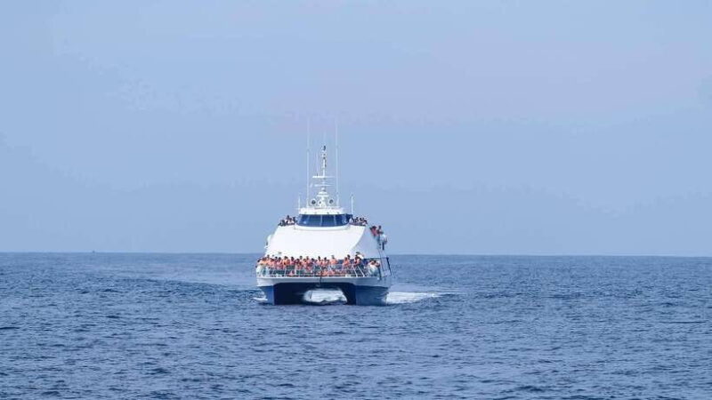 Mirissa: Whale Watching Tour From Colombo or Negombo - Key Points