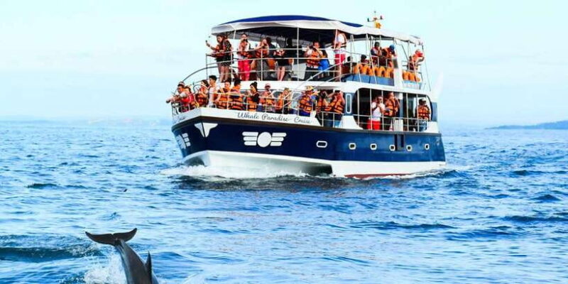 Mirissa: Whale Watching Tour - Who Will Love This Tour?