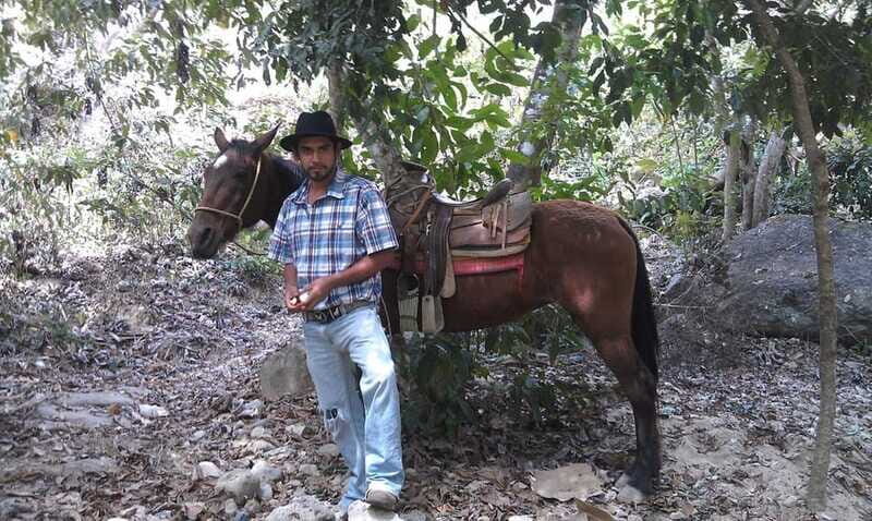 Mismaloya Jalisco: Rancho Manolo Horseback Tour - A Closer Look at the Rancho Manolo Horseback Tour
