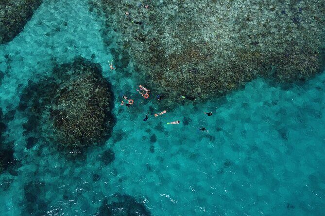 Mission Beach: Small Group | Outer Reef Snorkel & Dunk Island - Frequently Asked Questions