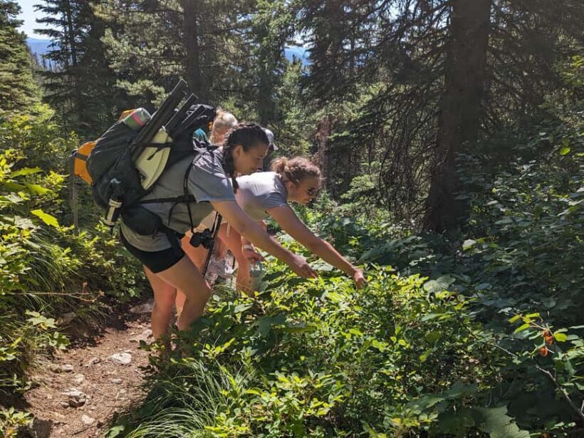 Missoula: Camas Lake Float and Hike - Practical Tips for Participants