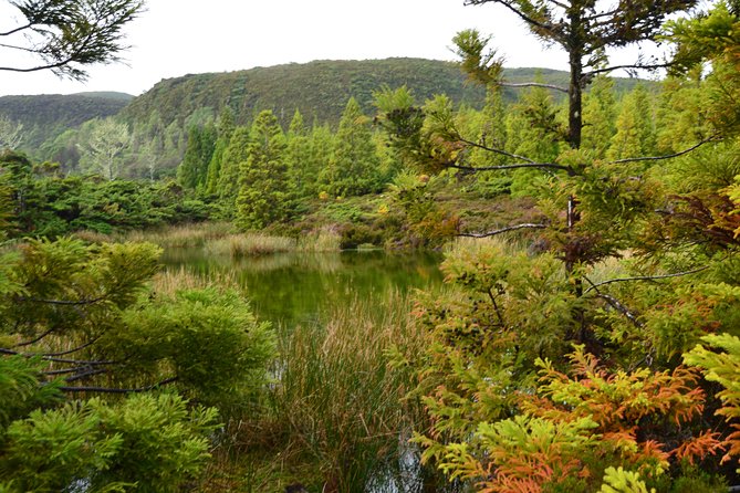 Mistérios Negros Hiking Trail - Terceira Azores - The Itinerary in Detail