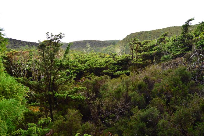 Mistérios Negros Hiking Trail - Terceira Azores - Who Will Appreciate This Tour?
