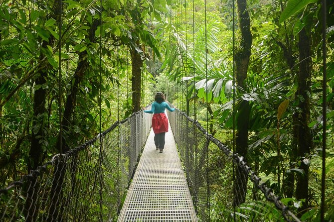 Mistico Arenal Hanging Bridges - Fruit & Guided Walk - Observing Native Wildlife