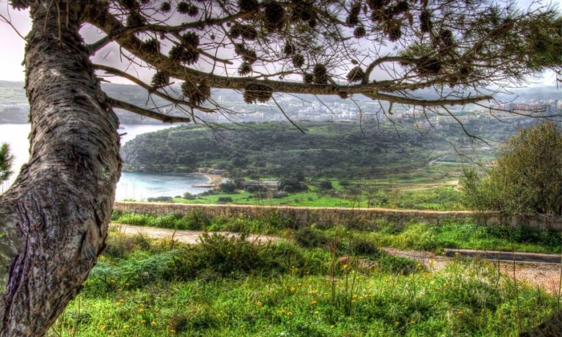 Mistra Valley and Selmun Private Nature Tour with Transport - Starting Your Day: From Hotel to Nature