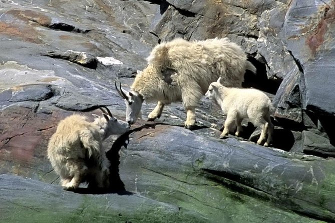 Misty Fjords Expedition - 6 Passenger Boat - The Itinerary: What to Expect at Each Stop