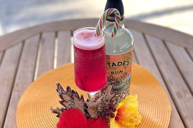 Mixology Class in Bridgetown  10 Minutes from Cruise Terminal - Key Points