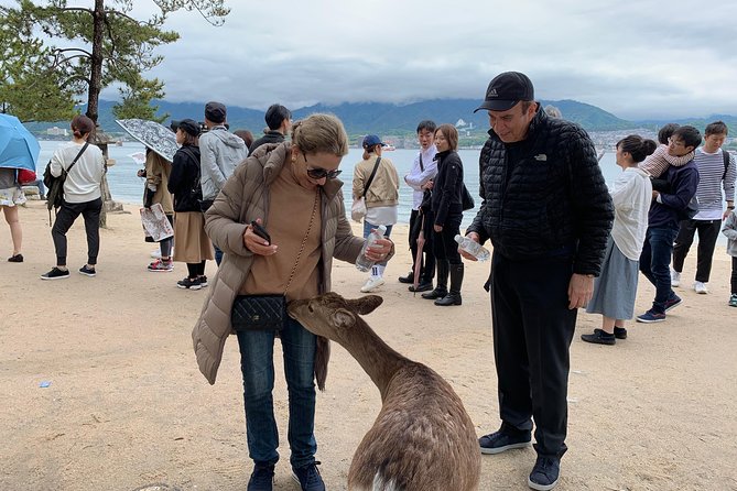 Miyajima Half-Day Private Tour With Government Licensed Guide - Inclusions and Additional Costs