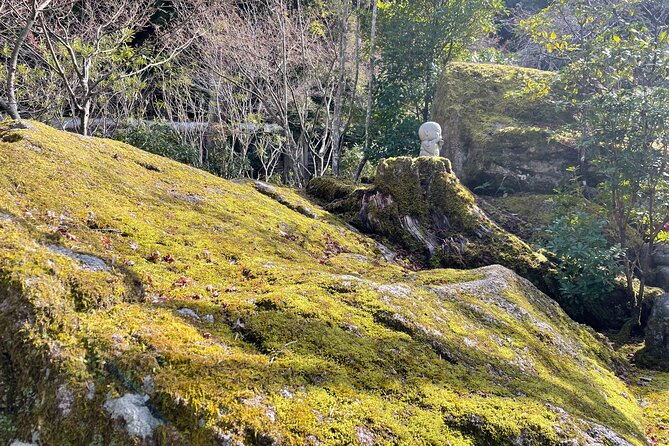 Miyajima Island Tour With Certified Local Guide - Highlights of the Tour