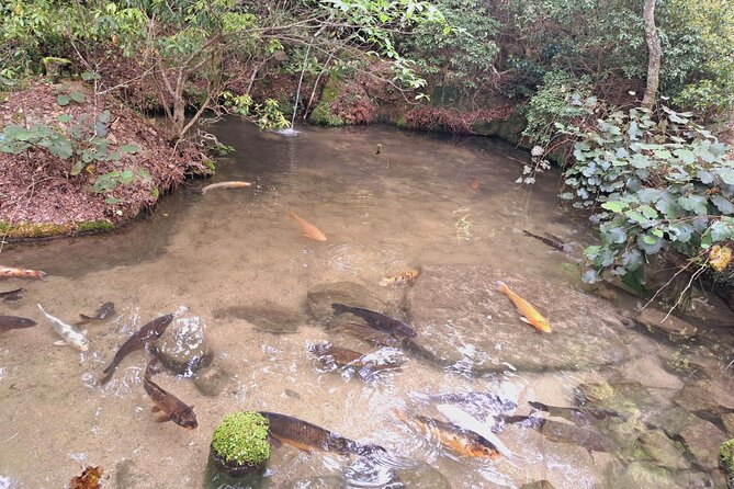 Miyajima UNESCO World Heritage Site Private Tour - Miyajima Island Exploration