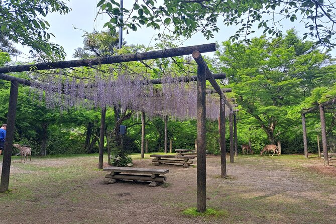 Miyajima UNESCO World Heritage Site Private Tour - Common Questions