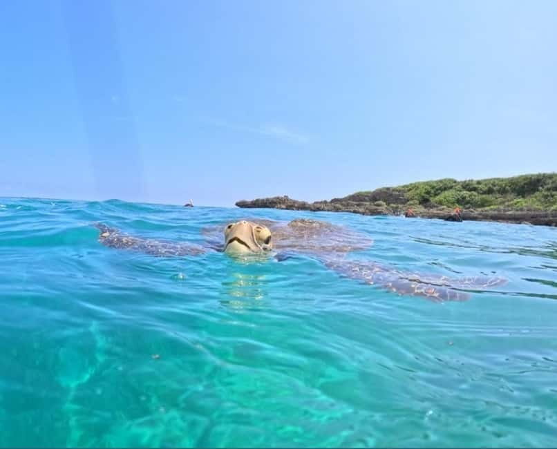 Miyako Island: English speaking SUP Tour - Why This Tour Offers Great Value