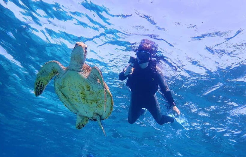 Miyako island: Pumpkin Limestone Caving & Snorkeling - FAQ