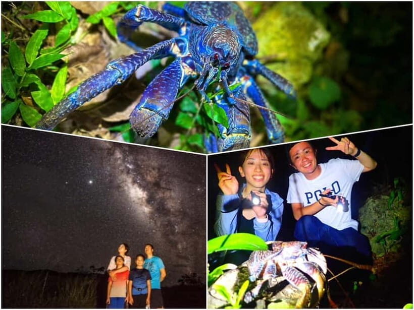 Miyako Island: Stars & Jungle Night Walking Tour - An Authentic Nighttime Adventure in Miyako Island