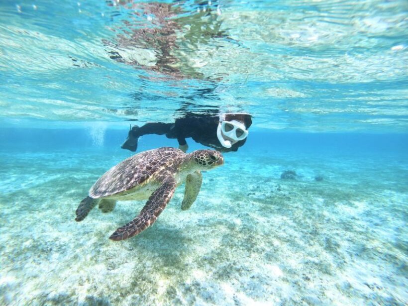 Miyako Island: SUP or Canoeing and Snorkeling Experience - Miyako Island: SUP or Canoeing and Snorkeling Experience – A Detailed Review