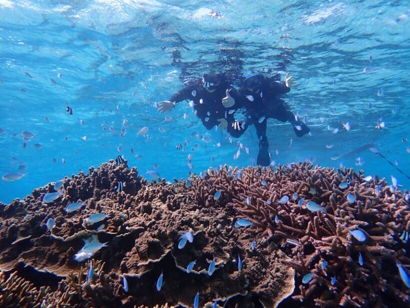 Miyako Island: SUP or Canoeing and Snorkeling Experience - Final Thoughts