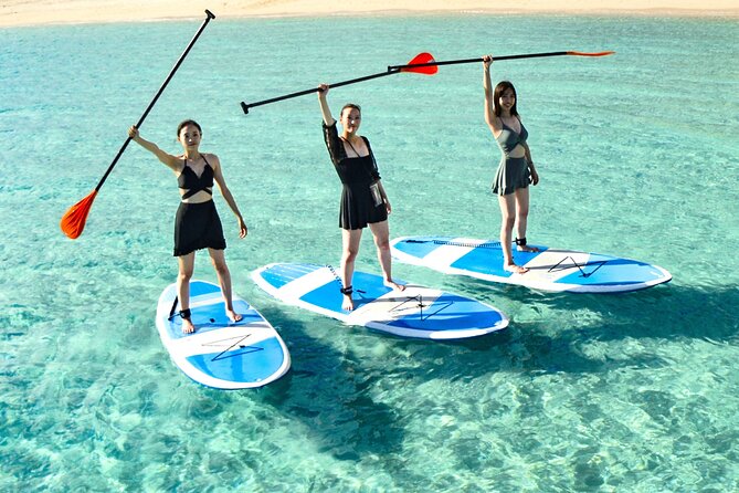 Miyako Two Activities in Half Day SUP and Sea Turtle Snorkeling - Inclusions and Exclusions