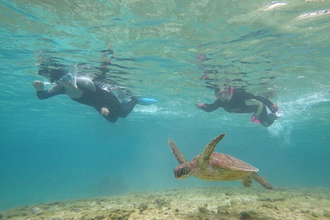 [Miyakojima Snorkel] Private tour from 2 people Let's look for sea turtles! Snorkel tour that can be enjoyed from 3 years old - An Introduction to the Miyakojima Snorkel Private Tour