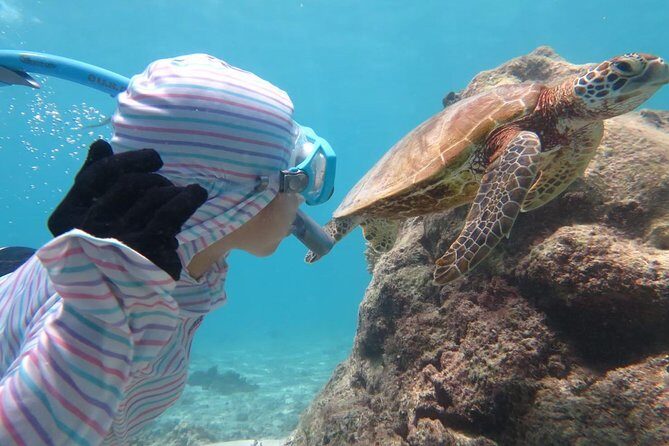 [Miyakojima Snorkel] Private tour from 2 people Let's look for sea turtles! Snorkel tour that can be enjoyed from 3 years old - Location and Meeting Point