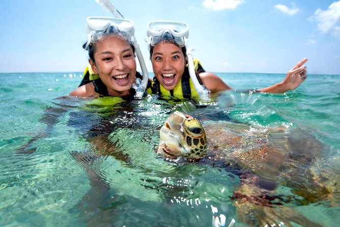 Miyakojima / Snorkel Tour to Swim With Sea Turtles - Highlights of the Snorkel Experience