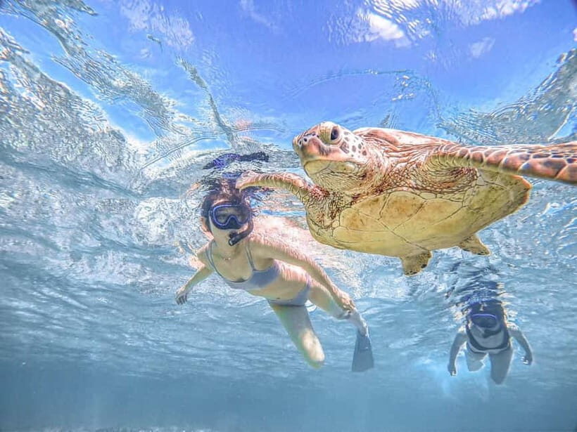 Miyakojima: SUP and Snorkeling- Two Activities in One Day - Equipment and Photo Service
