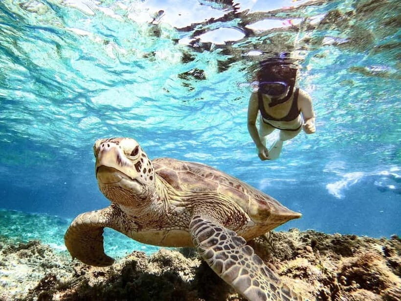 Miyakojima: SUP and Snorkeling- Two Activities in One Day - Who Will Love This Tour?